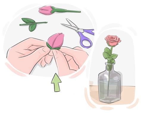 Definition And Meaning Of Synthetic Picture Dictionary