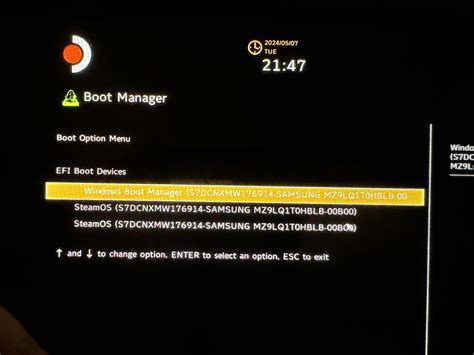 Remove Double Steam Os Boot Record In Dual Boot R Steamdeck