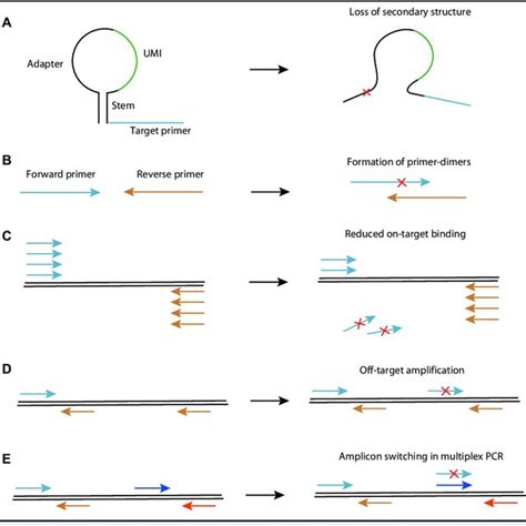 chemical synthesis errors affect assay performance a applications