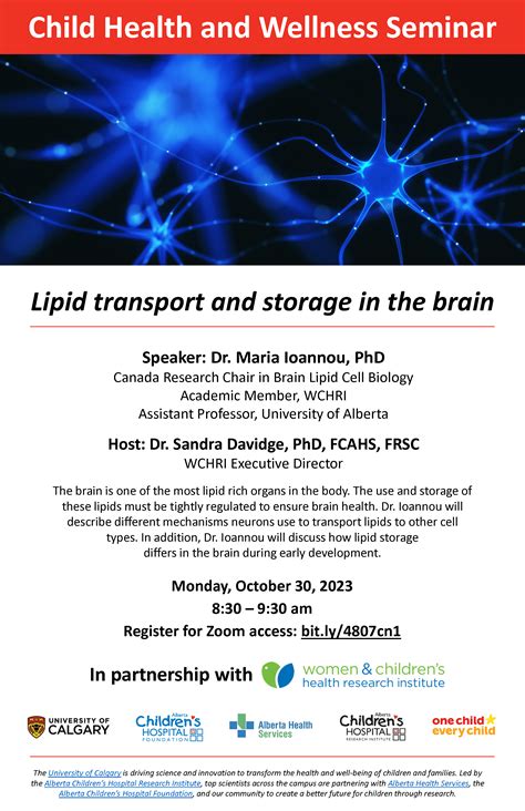 Brain Lipid Cell Biology Exploring Lipid Transport And Storage In The Brain And Its Impact On