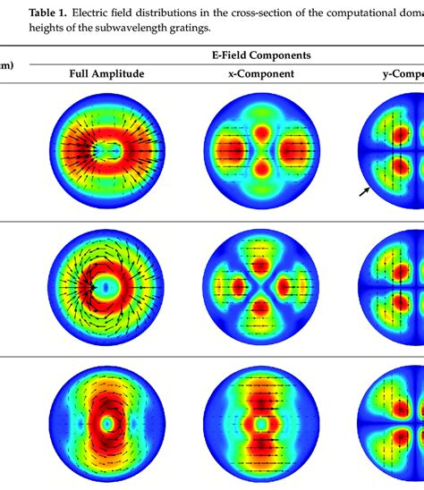 Electric Field Distributions In The Cross Section Of The Computational Download Scientific