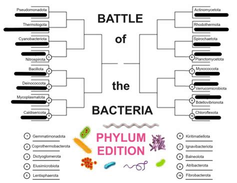 Bacteriashowdown Tumblr Blog Tumgik