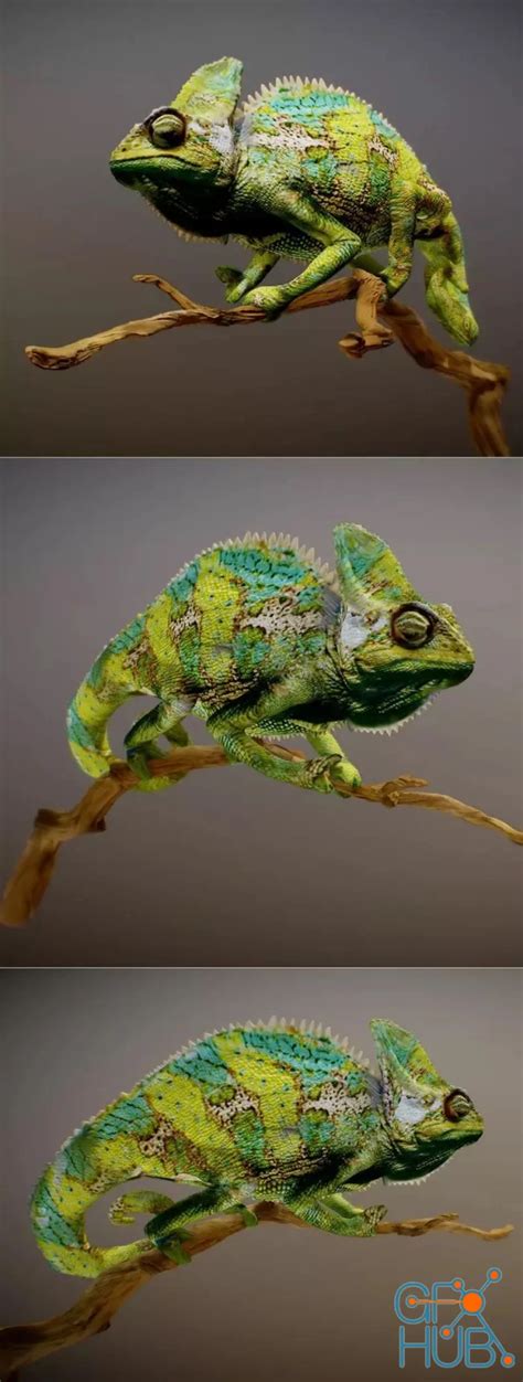 3d Print Model Chameleon Sculpt 130941
