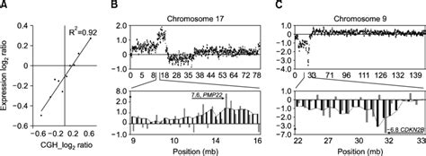 Integrated Analysis Of Copy Number And Expression Profiles A