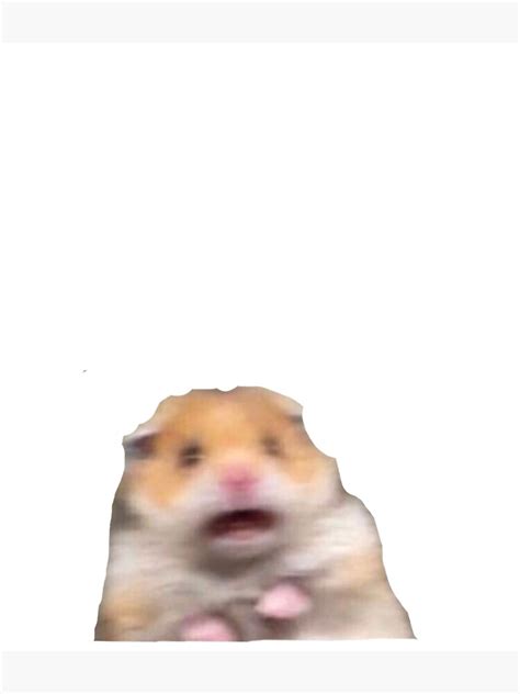Hamster Meme Art Print For Sale By Dtscott19 Redbubble