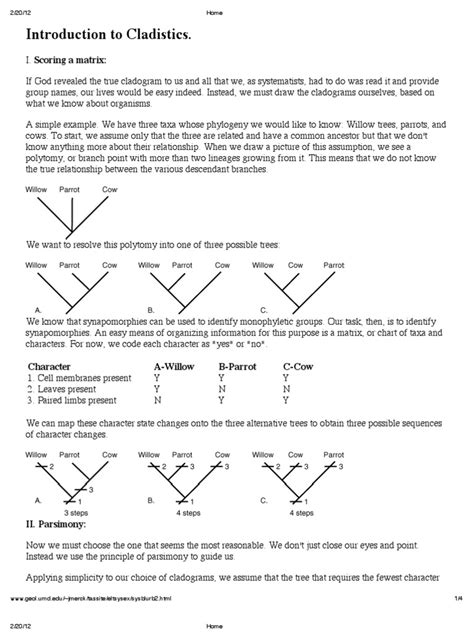 Introduction To Cladistics Character A Willow B Parrot C Cow Pdf Biological Classification