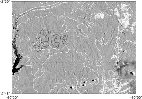 Radam Vegetation Map White Vectors Overlaid On A Landsattm Gray