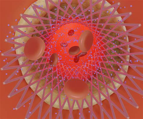Cambridge Polymer Group Biocompatibility Testing
