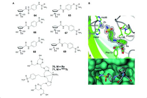 A Chemical Structures Of Rhenium 99m Technetium Cais B Download Scientific Diagram