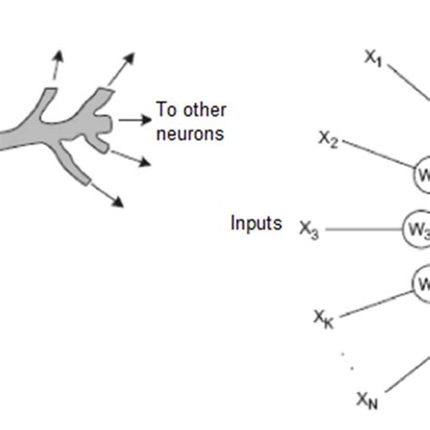 10 a single input neuron b multiple input neuron c layer s