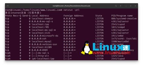 9 个最佳 Linux 网络故障排除命令 Linux迷