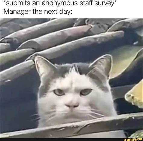 Tell Me She S Not Built Like Mewtwo Valeria Vendetta Valerydodon Show This Thread PM