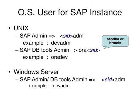 Ppt Sap Instance Directory Structure Powerpoint Presentation Free