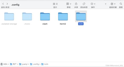 Mac配置neovim以及vimplug的基础用法mac Neovim Csdn博客