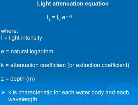 Light And Stratification Flashcards Quizlet