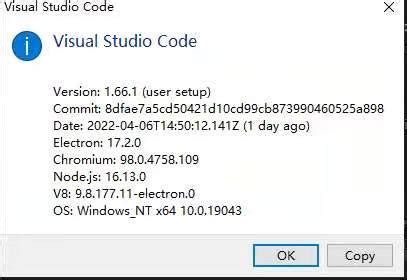 Bug Can T Use The Debug Of Python Extention Issue Microsoft Debugpy GitHub