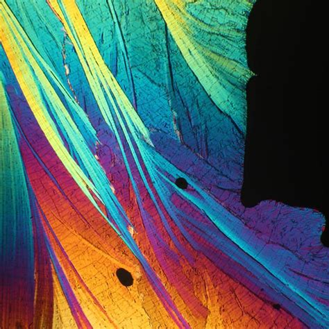 Dopamine Melt Smallaf 🔬 Microscope Microscopy Micro