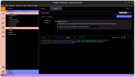 Configuring A Custom Location For Biomejs In Vscode Martins Blog