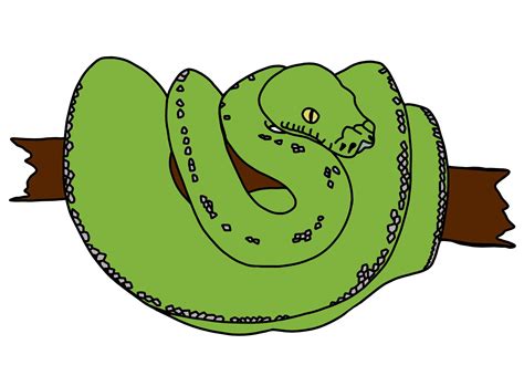 Hand Drawn Green Tree Python Reptile Python Snake Svg File Etsy Hand Drawn Green Tree Python Reptile Python Snake Svg File Etsy