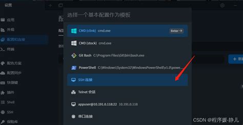 tabby使用指南 csdn博客