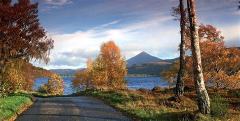 Private Tour - Highland Safari & Woodland Walks - Heart of Scotland Tours