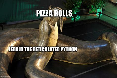 Python Wants Pizza Rolls Imgflip