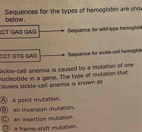 Solved Sequences For The Types Of Hemoglobin Are Shov Below Ct Gag Gag Sequence For Wild Type