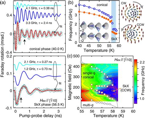 spin modes under the in plane magnetic field a two component