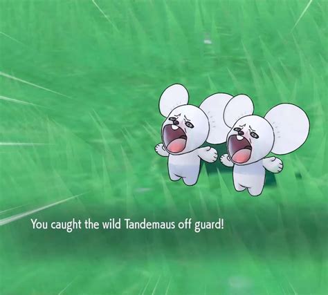 Tandemaus Pokemon And More Drawn By Drawfag Danbooru
