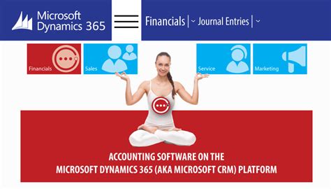 Accounting Software On The Dynamics 365 Platform