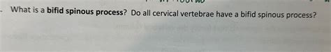 Solved What Is A Bifid Spinous Process Do All Cervical