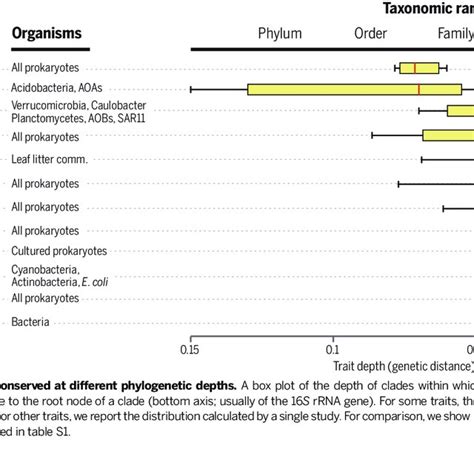 Trait Conservation In Prochlorococcus Is Related To Its Biogeographic Download Scientific