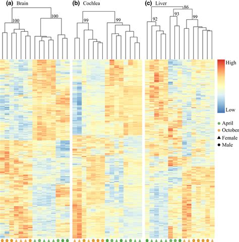 Hierarchical Clustering And Heatmap Showing Patterns Of Expression Of