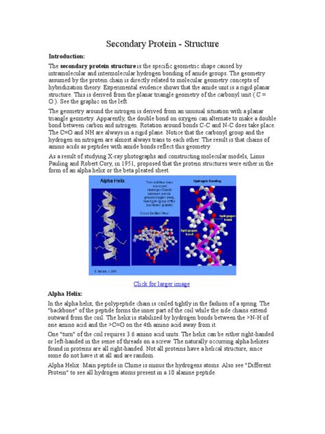 Secondary Protein Structure Click For Larger Image Pdf Alpha