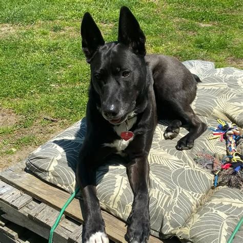 Ryan Klinger Ryanklinger • Threads Say More