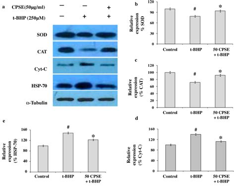 A The Protective Effect Of Pre Treatment Of Cpse On T Bhp Induced
