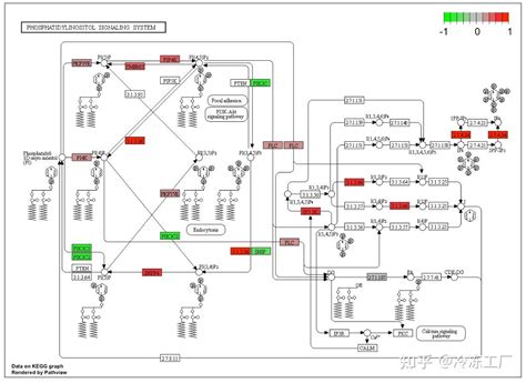 Rna Seq 保姆教程：差异表达分析（二） 知乎