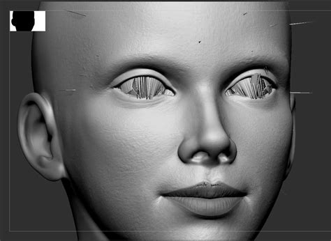 ProjectAll Error ZBrushCentral