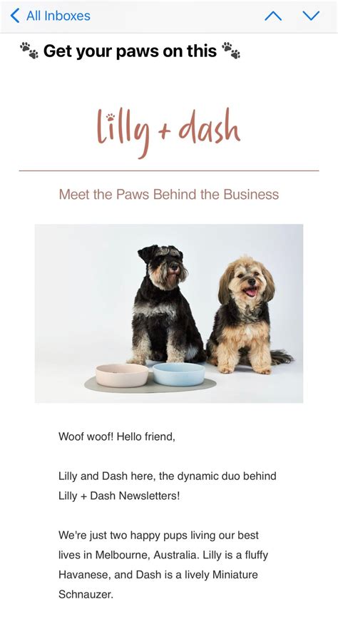 Foundational Marketing Toolkit — The Social Collective