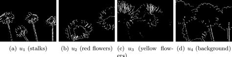 Figure 1 From An Active Contour Model With Local Variance Force Term And Its Efficient