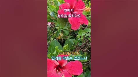 미스트롯3 빈예서 복드림걸즈 최고 ♡👍 Youtube