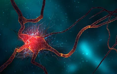 Kotlin Purity And Function Memoization