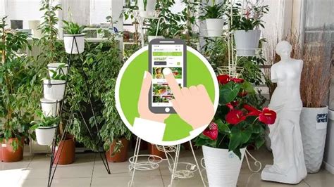 Дом Дача Сад и Огород с Хитсад Группа на Вступай читай общайся в Одноклассниках