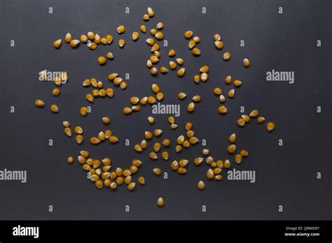 Yellow Corn Kernels Corn Kernels Isolated On Black Background Concept