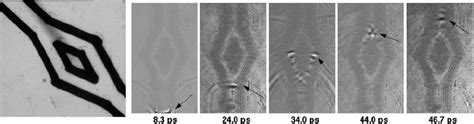 Polaritonic Waveguide Interferometer Fabricated In A Lithium Niobate