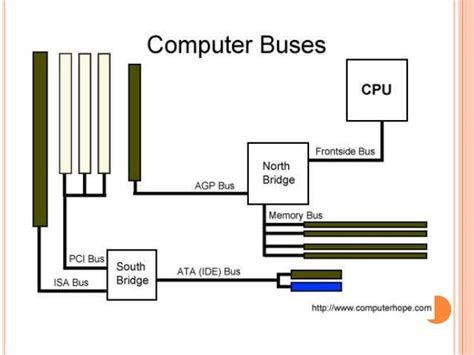 types of buses