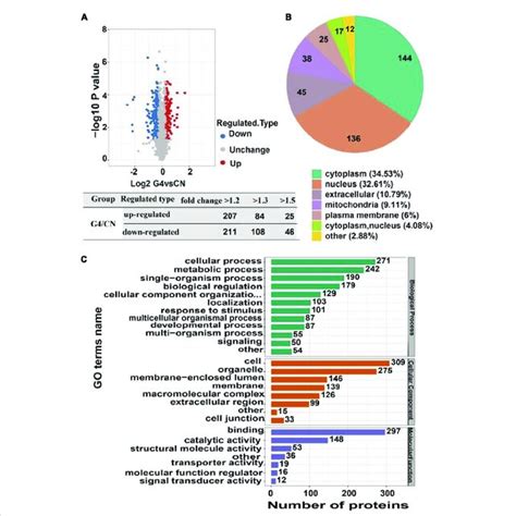 Identification Subcellular Distribution And Gene Ontology Annotation Download Scientific