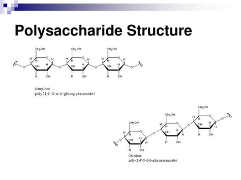 Polysaccharides Structure