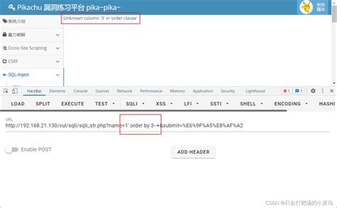pikachu靶场通关指南 CSDN博客