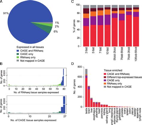 Distribution Of Ubiquitously Expressed And Single Tissue Enriched Genes Download Scientific